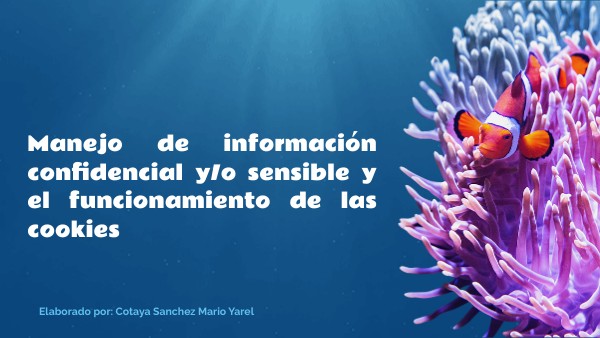 yarel COOKIES | Genially