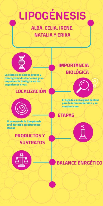 lipogénesis | Genially