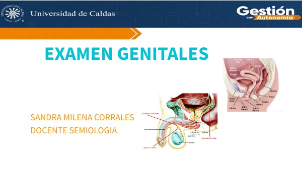 EXAMEN GENITALES | Genially