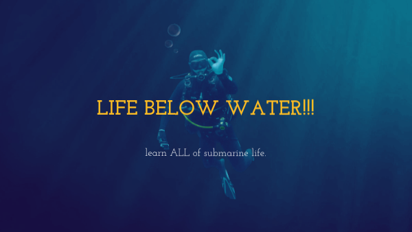 life below water