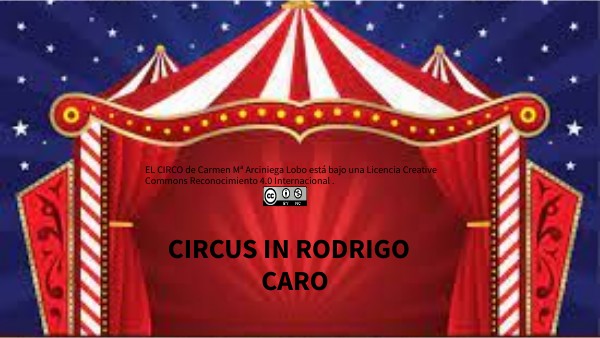 THE CIRCUS
