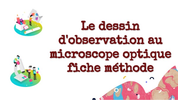 dessin d'observation