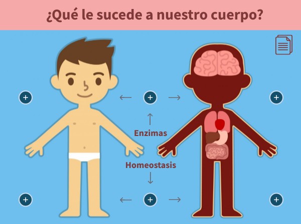 Biologia Homeostasis Dibujo Animado
