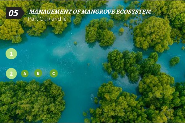 chapter 5 part c i,ii