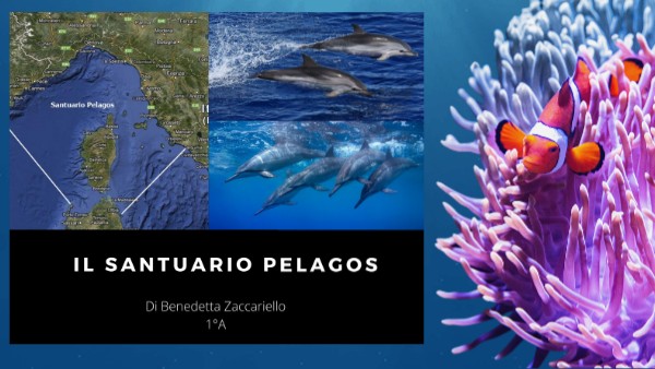 PELAGOS