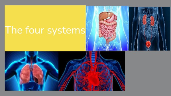 The 4 systems