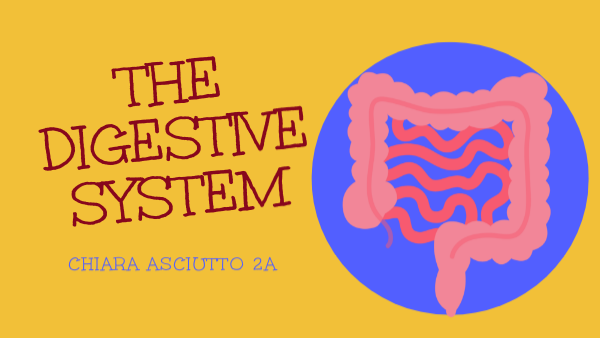 THE DIGESTIVE SYSTEM | Genially