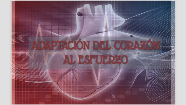 ADAPTACIÓN DEL CORAZÓN AL ESFUERZO | Genially