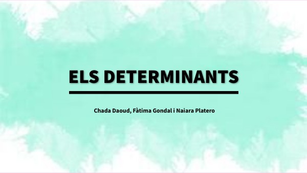 Els determinants | Genially
