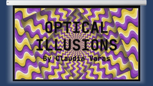 OPTICAL ILLUSIONS (def)