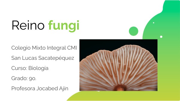 Presentación - Reino Fungi | Genially