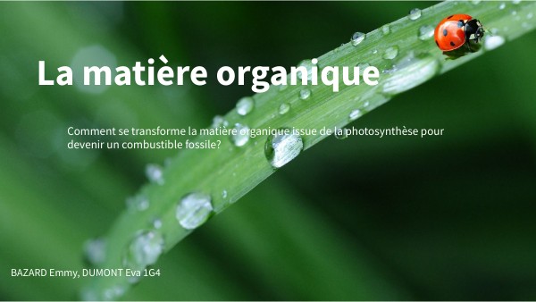matière organique
