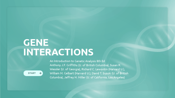 Gene Interactions By Dr Amber Afroz