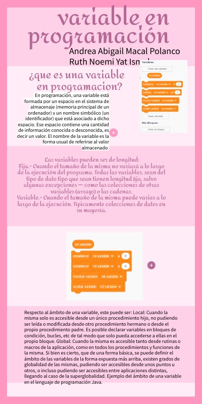 Variables de Programación | Genially