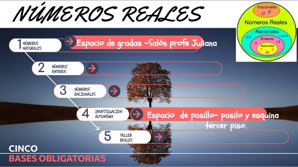 Cinco bases reales. | Genially