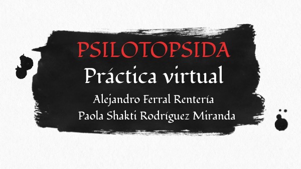 Práctica visual Psilotopsida | Genially