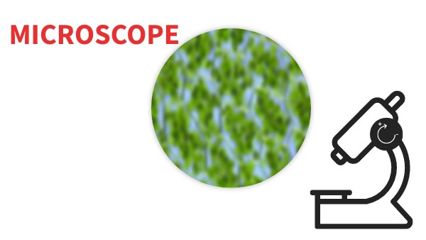 Microscope | Genially