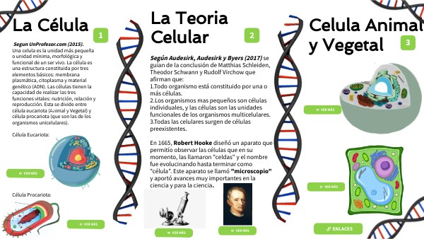 La Célula | Genially