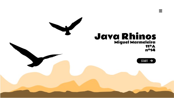 java rhinos