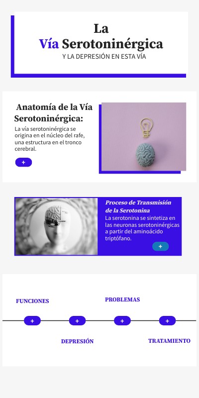 La vía serotoninérgica Ana Estrada 3028-22-5487 | Genially