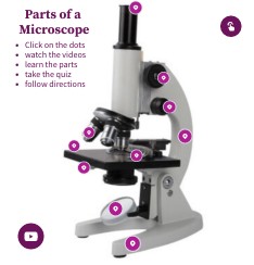 Microscope parts