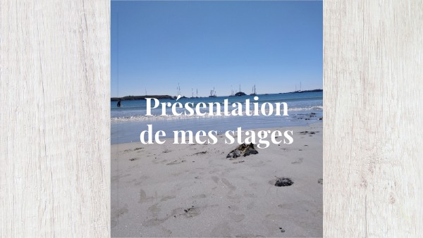 MAGAZINE DOSSIER | Genially