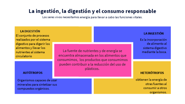 Ingestión y digestión | Genially