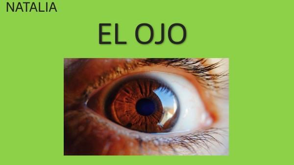 MURO NEÓN HORIZONTAL