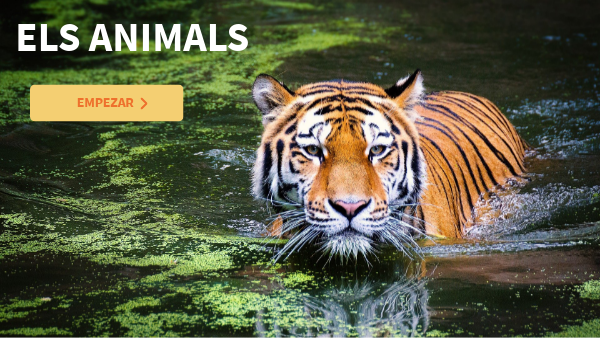 1r Animals | Genially