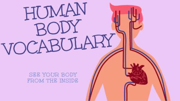 *Human Body Vocabulary | Genially