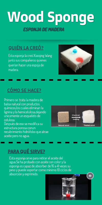 Nuevo material "WOOD SPONGE"