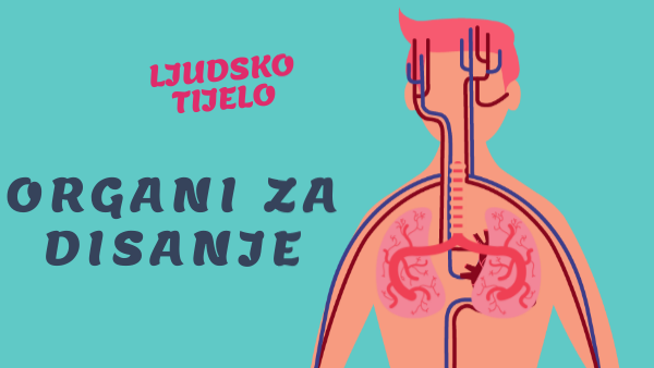 ORGANI ZA DISANJE | Genially