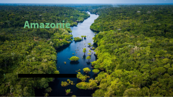 L'Amazonie | Genially