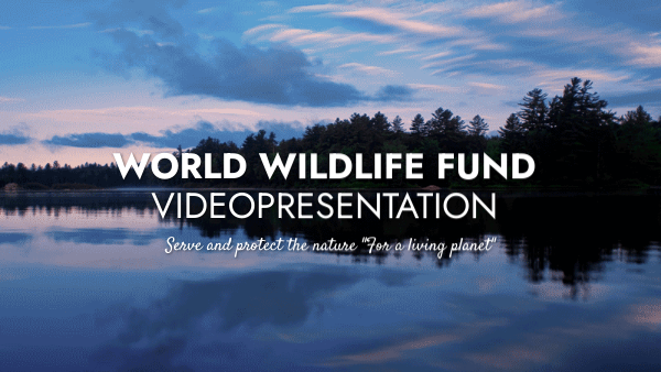 wwf presentation