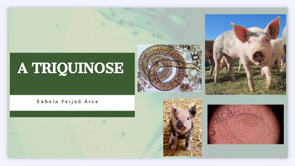a triquinose | Genially