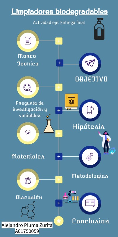 Actividad eje: entrega final