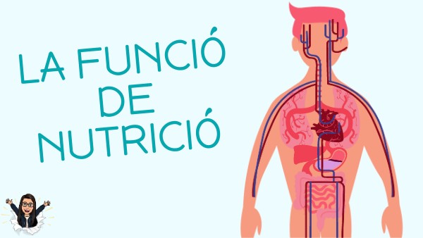 Tema 3. Naturals. Funció de Nutrició