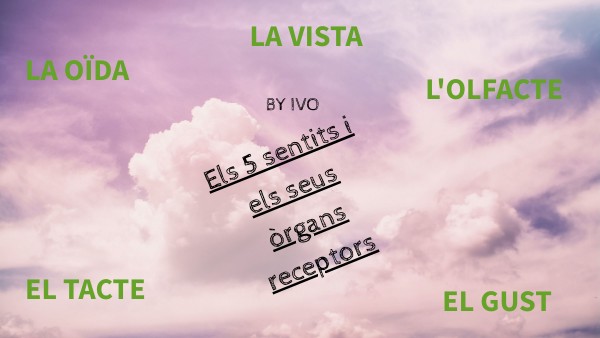 Els 5 sentits i els seus òrgan receptors.