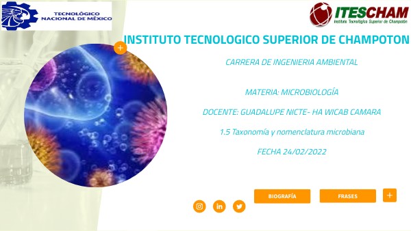 A2.3 WICAB CAMARA_GUADALUPE NICTE-HA