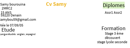 Cv samy | Genially
