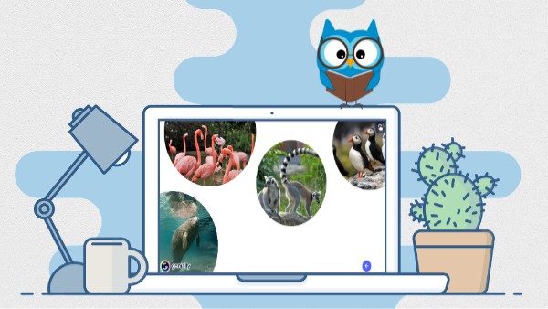 Tiere aus aller Welt