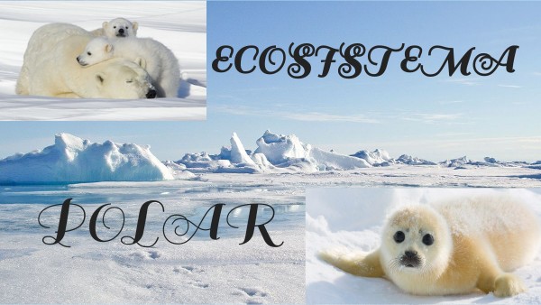 ecosistema polar