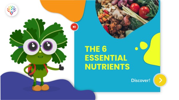 the 6 essential nutrients
