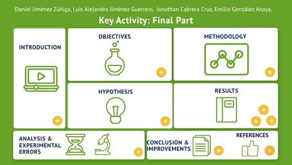 Key Activity: Final Delivery