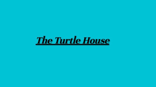 The Turtle House