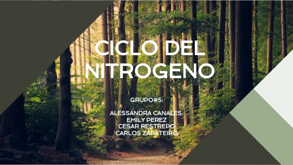 PRESENTACIÓN PROYECTO DIAGONAL