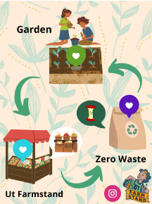 Cycle of food