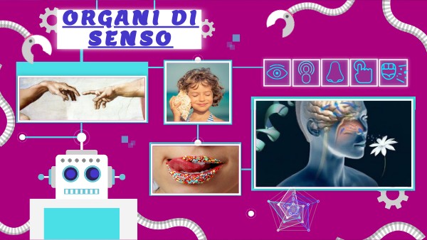 ORGANI DI SENSO | Genially