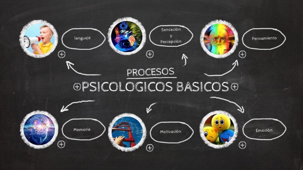 PROCESOS PSICOLOGICOS BASICOS