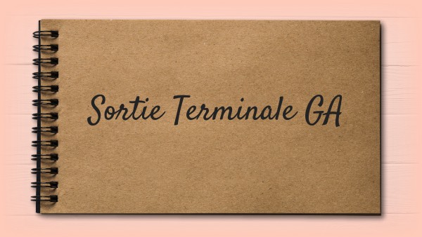 SURPRISE AU TERMINAL | Genially